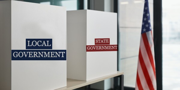 Hidden facts about sources of revenues - Local and state government